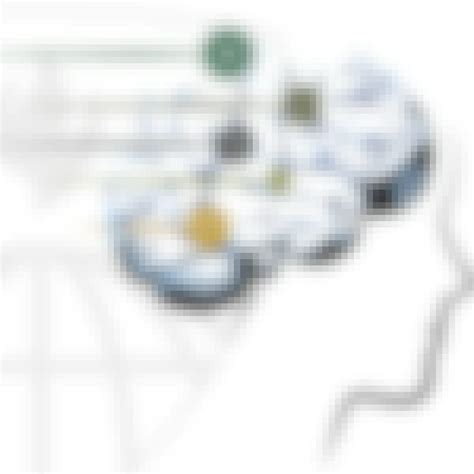 Best Biostatistics Courses Online With Certificates 2024 Coursera