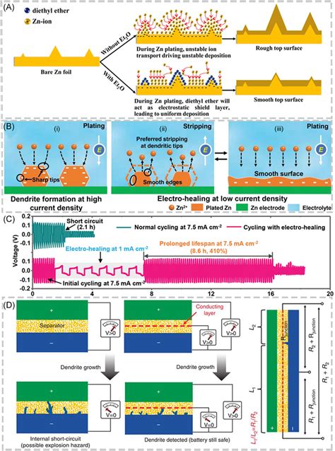 A Schematic Illustration Of Dendrite Growth With And Without Et2o Download Scientific Diagram