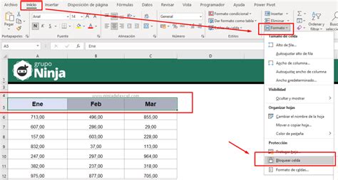 Cómo Bloquear Celdas Seleccionadas En Excel Ninja Del Excel