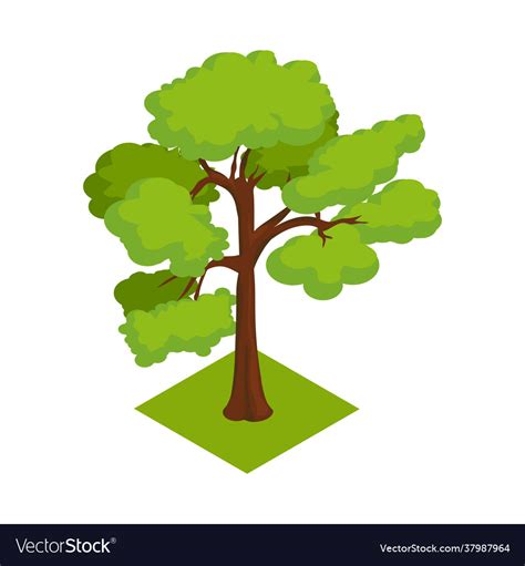 Isometric Tree Royalty Free Vector Image VectorStock