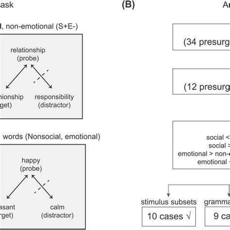 Semantic Judgment Task A And Scheme Of Analysis Pipeline B In This Download Scientific