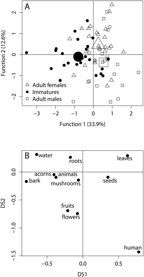 Scatter Plots Of The Discriminant Function Analysis Among Three Age Sex Download Scientific