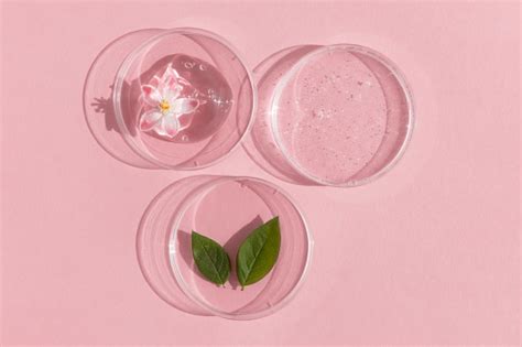 히알루론산 페이셜 세럼 또는 젤 꽃과 잎은 분홍색 배경에 페트리 접시에 담겨 있다 화장품 실험실 연구 웰빙 미용 및 천연 화장품의 개념 개념에 대한 스톡 사진 및 기타