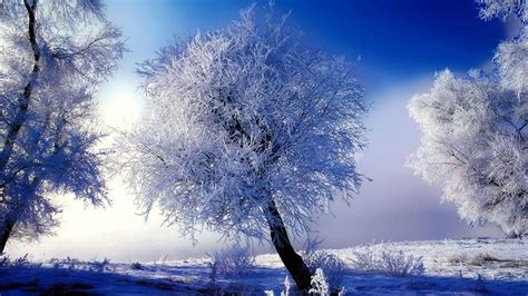 Winter Wallpapers Scenes Wallpaper Cave