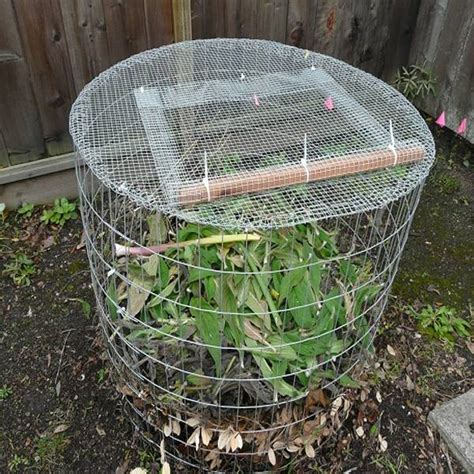 Wire Composter Used To Collect Leaves Grass Clipping Garden Scraps