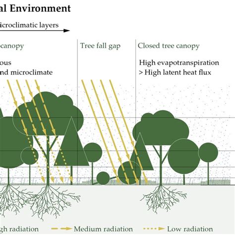 characterization of semi natural environments using the example of