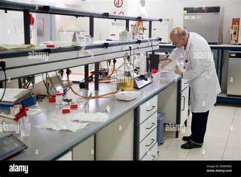 Microbiology Lab Test Procedure At Cathy Travis Blog