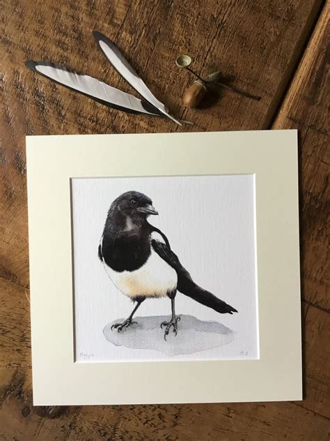 Magpie Print Magpie Art Bird Art Magpie Watercolour Bird Etsy
