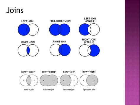 presentation on pandas in detail pptx databases computer software and applications