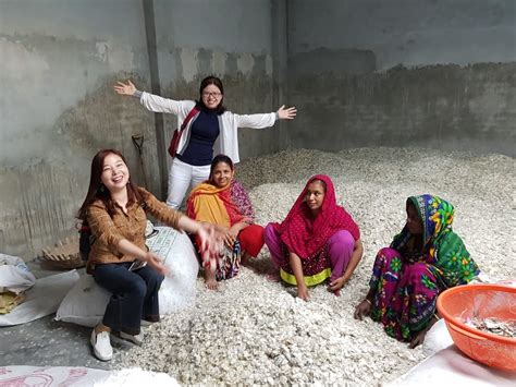 Dried Fish Scale Yeaser Trading And Import Export Co