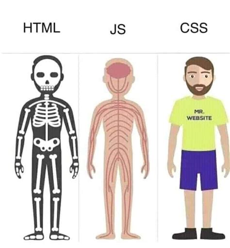 برمجه مثال بسيط لتوضيح الفرق بين Html Css Js 😃