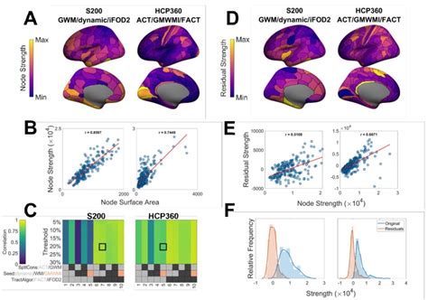 Relationship Between Node Strength And Node Surface Area A Spatial