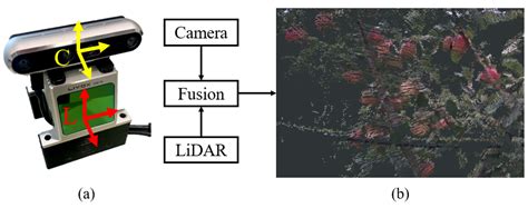 The Point Cloud From Lidar And Rgb From Camera Are Fused To Generate