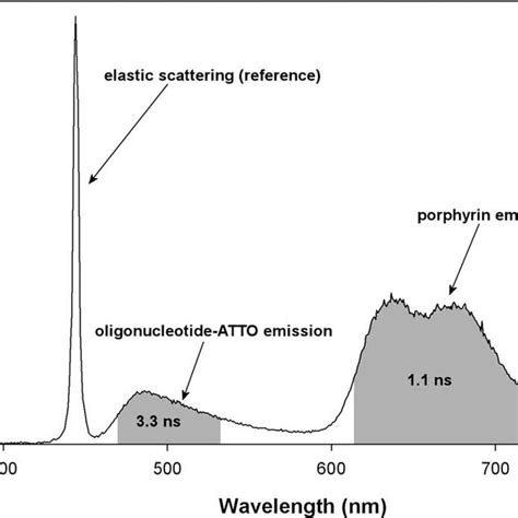 Original Lifetime Resolved Spectrum Taken From The Cellular Nucleus Of