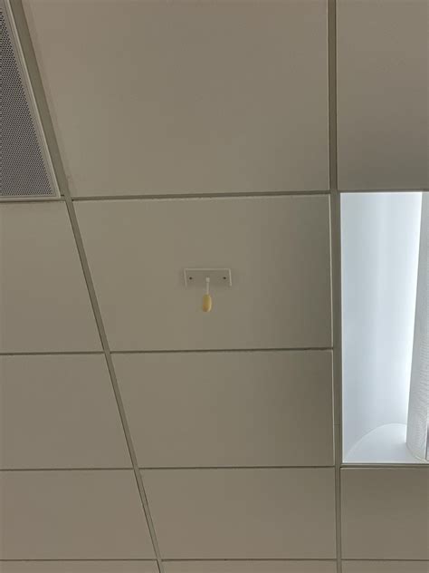 What Are These Things In The Bif Classrooms Theres Like 10 Attached To The Ceiling R Uiuc