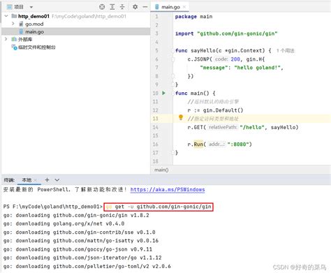 Go语言web开发：从net到gin框架 Csdn博客