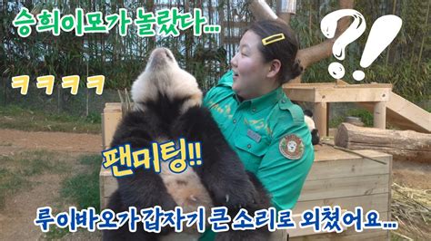 맙소사 😱 이승희 이모는 루이바오가 팬들과의 교류 중에 갑자기 소리쳤을 때 깜짝 놀랐습니다 ㅋㅋㅋㅋ🤣🤣🤣 Youtube