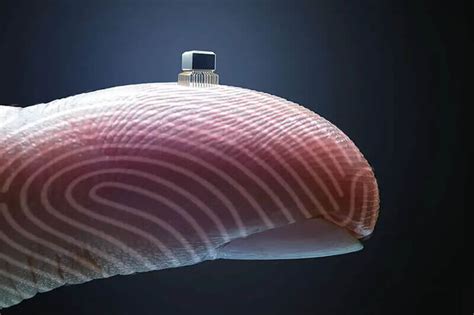 Pnp Transistor Structure Working Principle And Application Techsparks