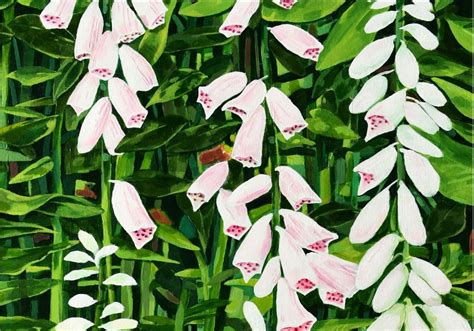 anneke dekkers kunstenaars beeldende kunst arnhem actuele