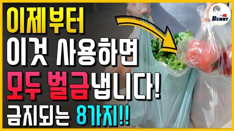 월부터 이거 사용하면 모두 벌금 냅니다 금지되는 가지 YouTube