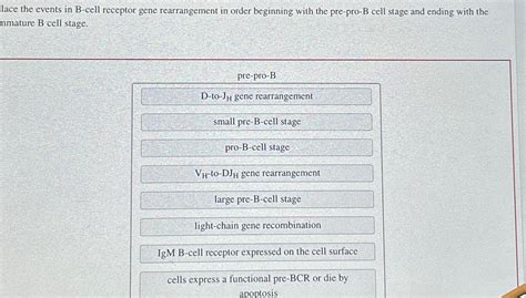 Solved Lace The Events In B Cell Receptor Gene Rearrangement