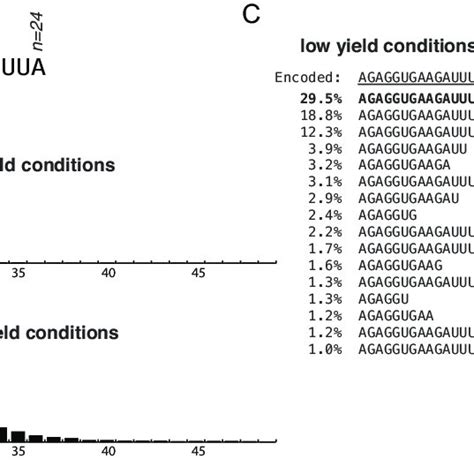 Primer Extension Of Synthetic Rna In The Absence Of Promoter Sequence Download Scientific