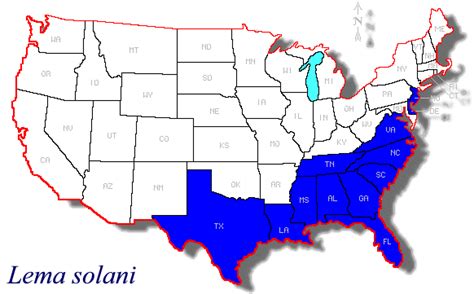 Blue Banded Lema Leaf Beetle Lema Solani