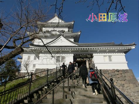 小田原城に登る・北条氏の居城・戦国時代は強かったが、 西村治彦の日記