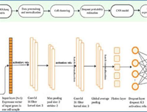 rna sequencing read depth requirement for optimal transcriptome