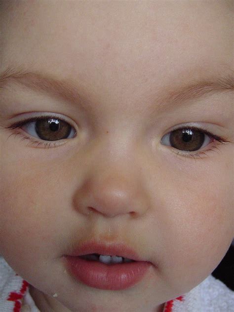 Bianka 1 Free Photo Download Freeimages