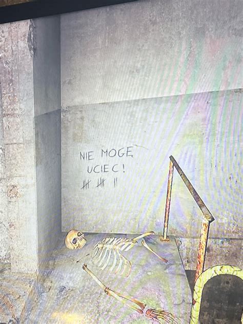 After Many Hours In Dayz I Finally Had That Clicking Moment Where I Realized I Actually Liked