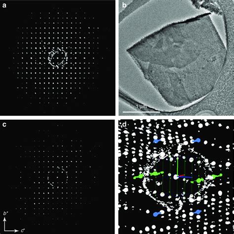 Electron Microscopy Based Structure Determination Of Dcpm A The