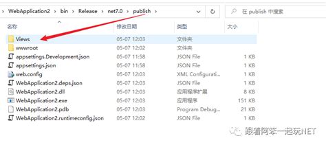 ASP Net Core Razor 预编译动态编译混合编译 董川民