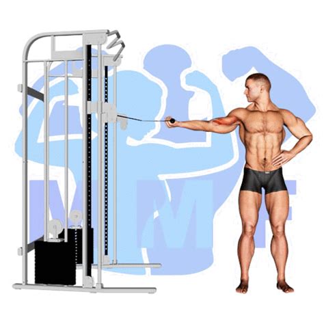 One Arm Cable High Curl A How To Guide For This Profound Exercise