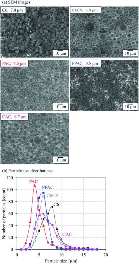 A SEM Images And Mean Particle Sizes And B Particle Size Download Scientific Diagram