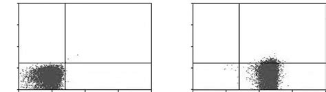 Flow Cytometric Analysis Represents Dot Plot Showing Negative Control Download Scientific