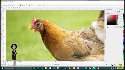 How Do I Remove The Background Of An Image In Coreldraw At Shanita Parker Blog