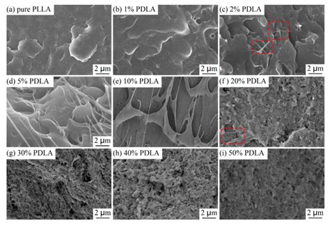 Formation Of Stereocomplex Crystal And Its Effect On The Morphology And