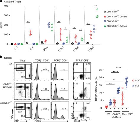 ccl5 expression from t cells is repressed by runx cbfβ complexes a