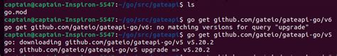 Cannot Install Package Issue 31 Gateio Gateapi Go GitHub