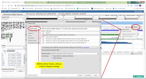 Ncbi Insights Easily Configure Gene Feature Modes In Ncbis Graphical Sequence Displays
