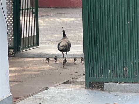 Differences And Distances Can Be Managed Very Easily Provided The Direction Is Clear