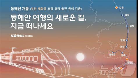 바다 볼 수 있어 기차만 타도 힐링부산~강릉 동해선 완전 개통 뉴스1