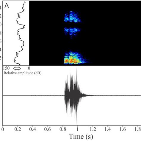 Amplitude Spectra Spectrogram And Waveform Of The Advertisement Call