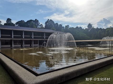 欢迎参加西双版纳植物园2023年大学生夏令营 知乎