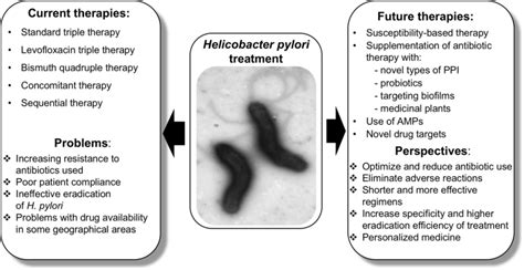 Schematic Representation Of Currently Used Treatment Of H Pylori