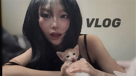 Vlog 집사의 쉬는날 초보집사 브이로그 새끼고양이 키우기 Youtube