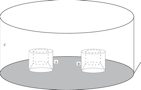 A Schematic Of How Matching To Ingoing Null Cones Could Be Used With Download Scientific