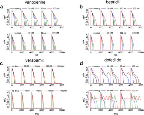 Steady State Simulations Of Action Potentials At Drug Concentrations Download Scientific