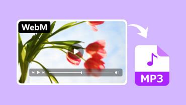 Convert WebM To MP Recommended Ways Online Offline